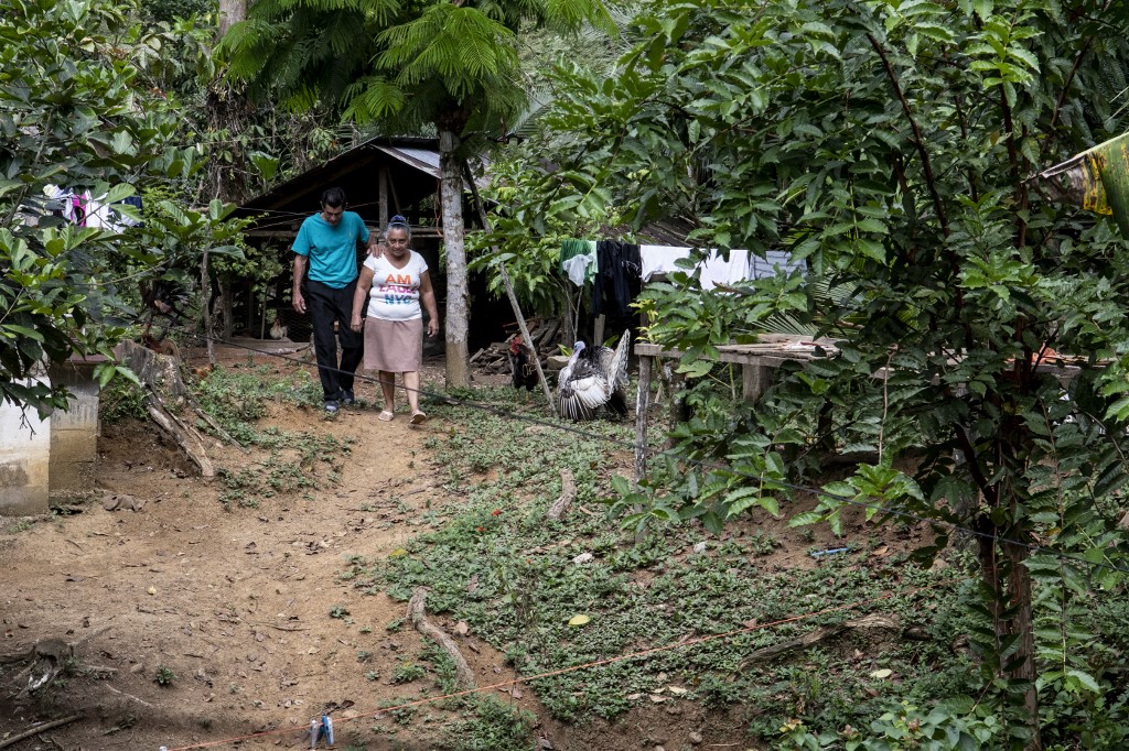 Indígenas de Costa Rica generan ingresos mientras cuidan el pulmón del ...