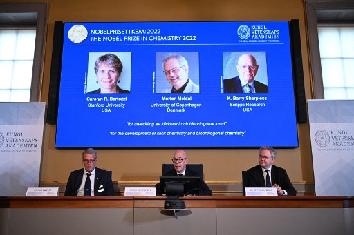 Desarrolladores de la "química click "y la "bioortogonal" ganan Nobel ...