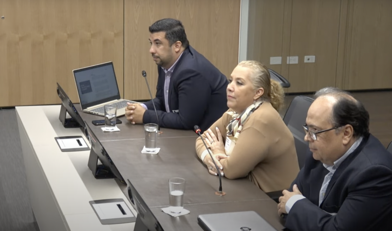 AmeliaRueda - “Reconozco que fue una imprudencia”, dice jefa de Cansec ...