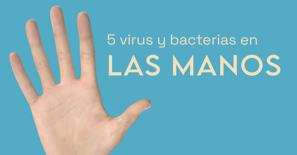 Cinco virus y bacterias que portamos en nuestras manos