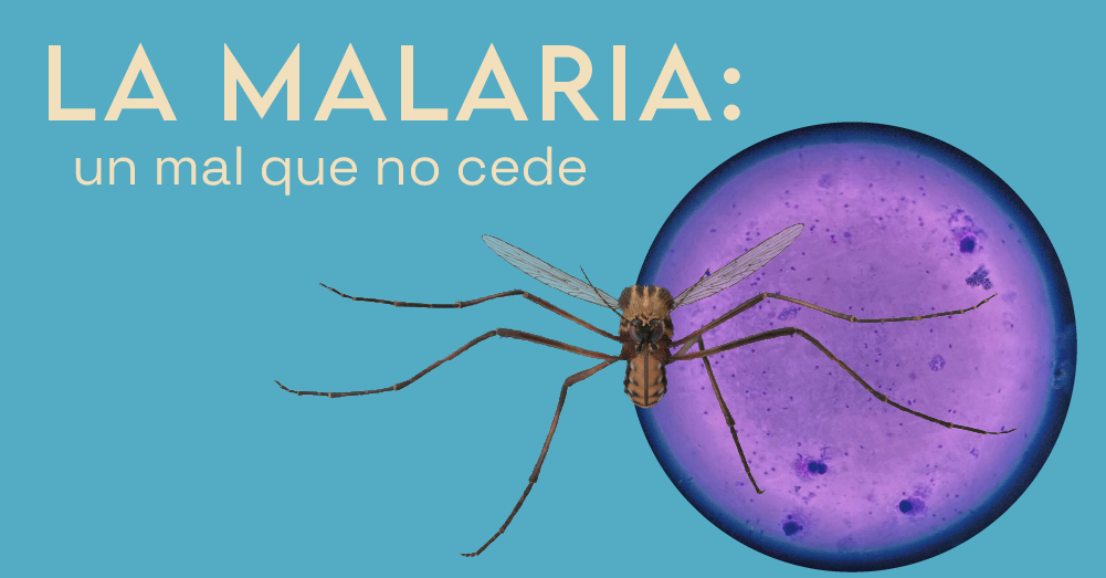 La Malaria: un mal que no cede