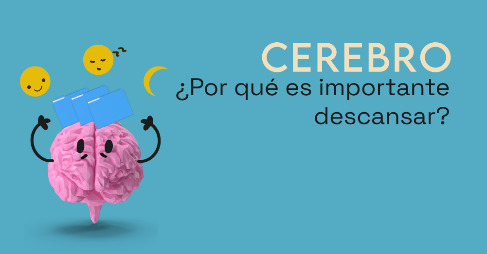 Cerebro: ¿Por qué es importante descansar?