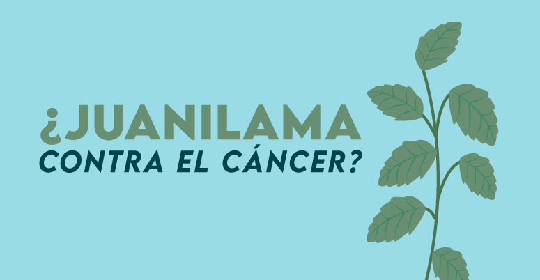 ¿Juanilama contra el cáncer?
