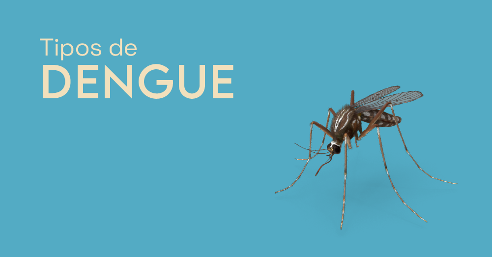 Diferencias de síntomas entre el dengue clásico y el grave