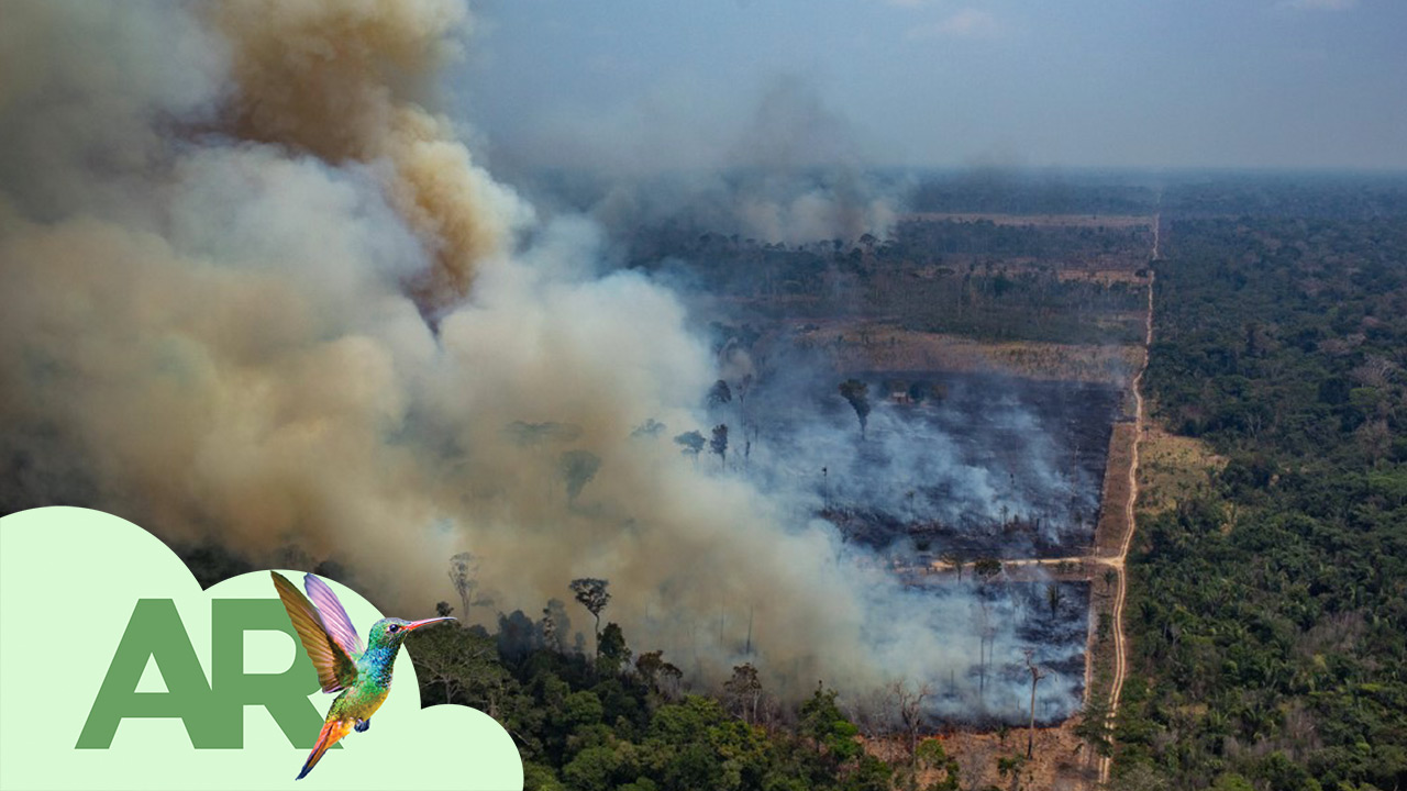 Nuevos incendios en el Amazonas, mientras que en Bolivia se reducen