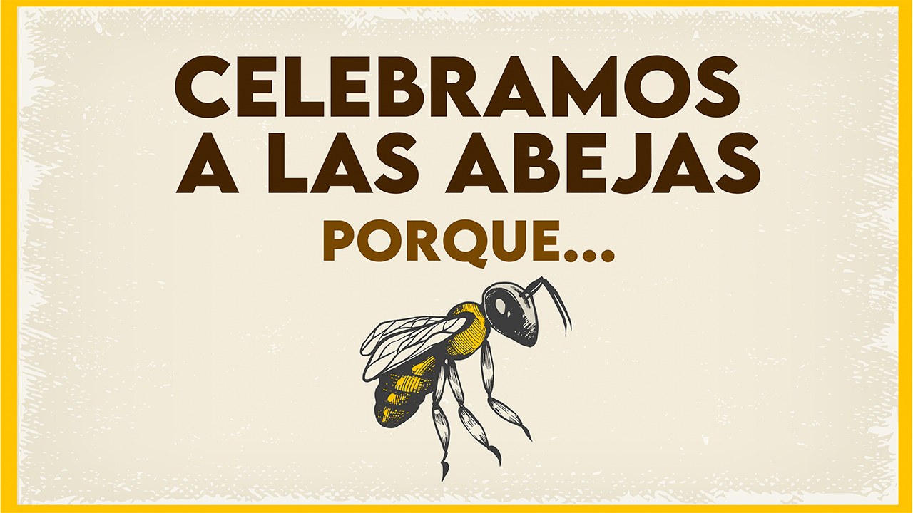 Memes Con Abejas