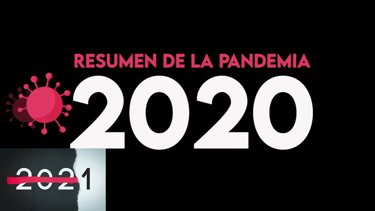 Resumen de la pandemia 2020