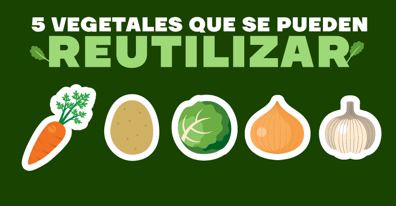 Vegetales que se pueden reutilizar Vegetales que se pueden reutilizar