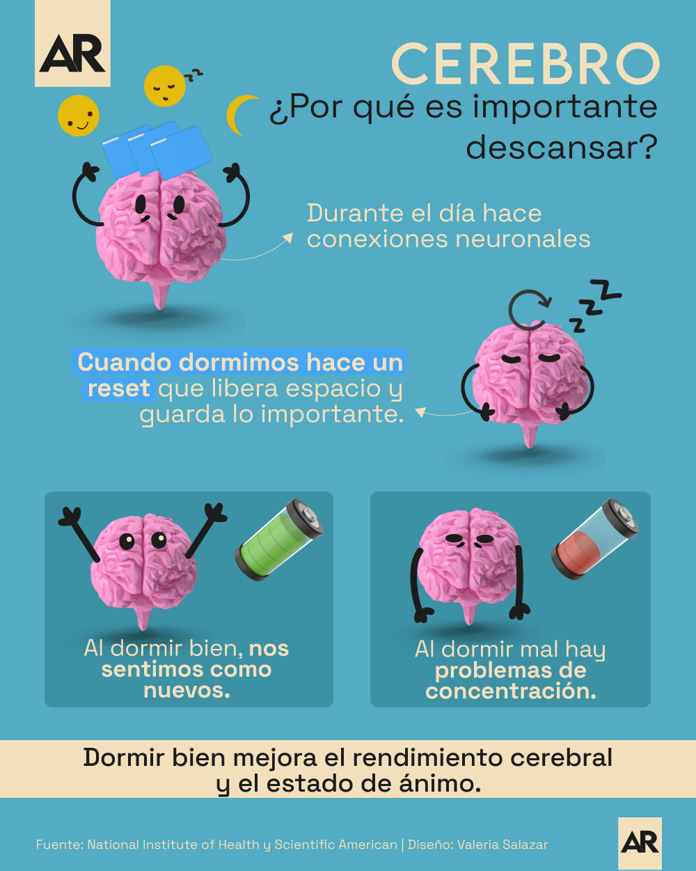 Cerebro: ¿Por qué es importante descansar?