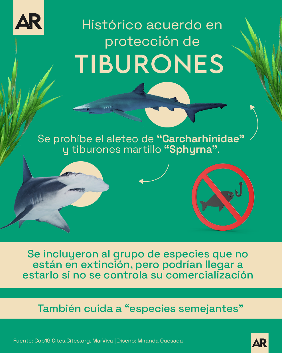 Histórico acuerdo en protección de los tiburones