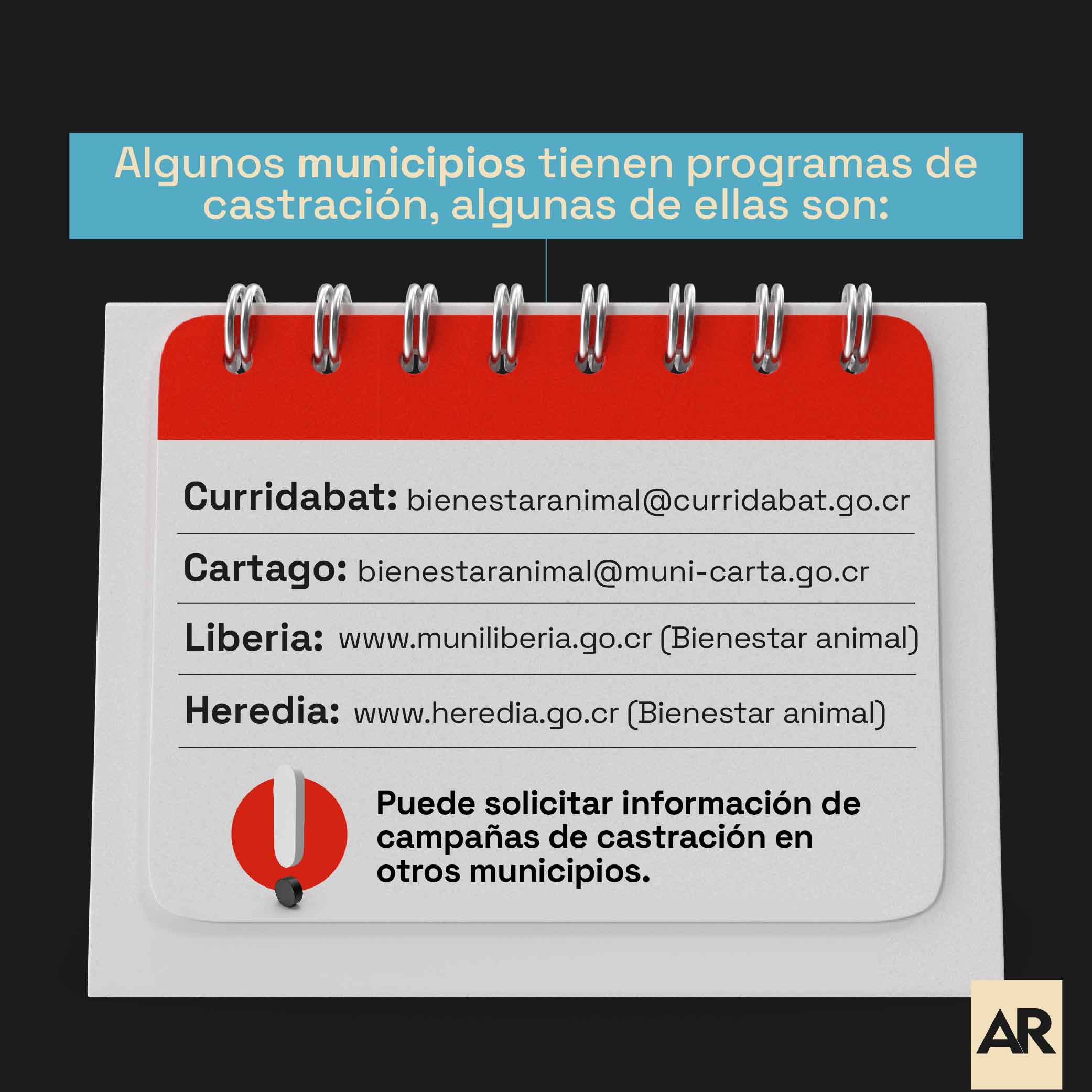 Castración animal: Una mejora de vida